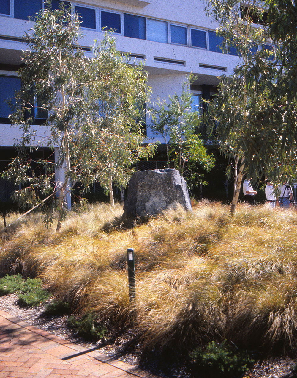Waterwise Plant Details