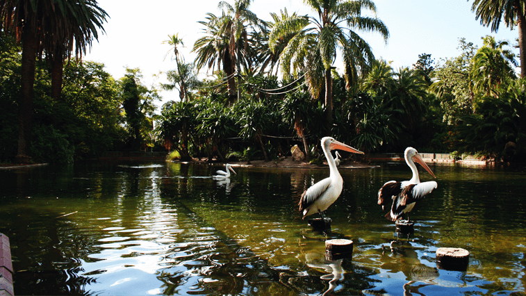 Perth Zoo - 2020 Waterwise Platinum Business